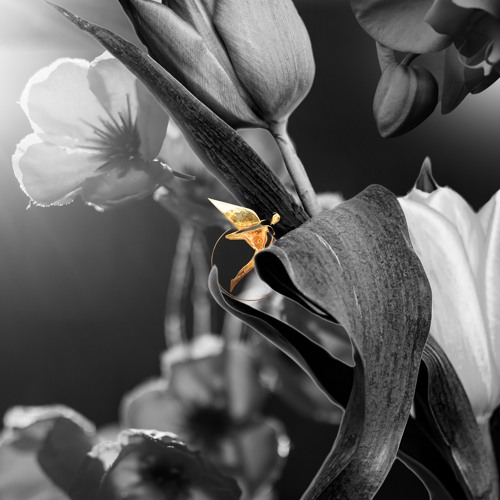 Stream Ed Lopes - Combinatorics [Astral Records] by Melodic Dance Music ...