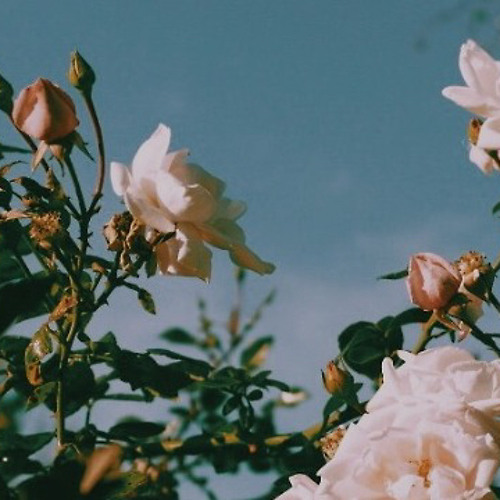 Stream I KNOW [Prod. By Myles Jacob] by Duce9 | Listen online for free ...