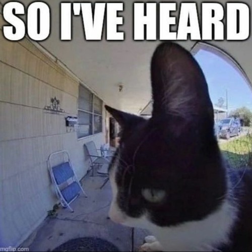 Stream RadiantRudi | Listen to good songs i will listen to lots playlist online for free on ...