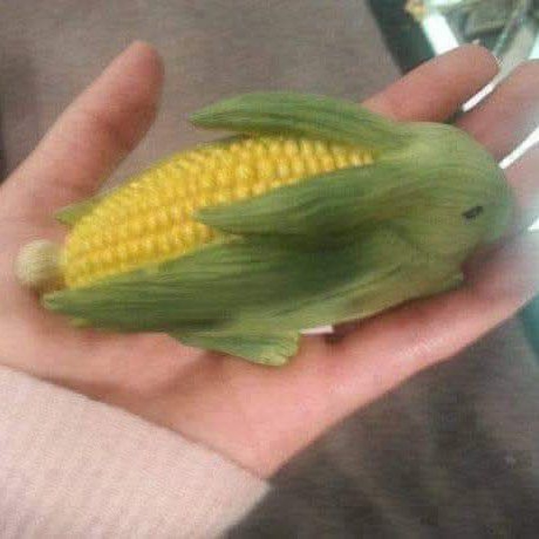 Stream Careless - Roblox Die of death Caretaker last man standing by ...