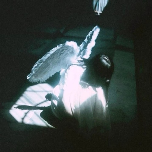 Stream Lifetempo | Listen to snow white angel wings playlist online for ...