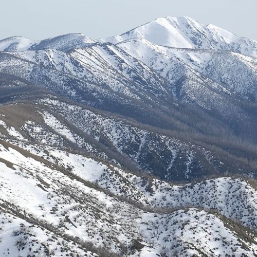 Stream episode Is 'The Button Man' Key To Solving 6 Disappearances? by ...