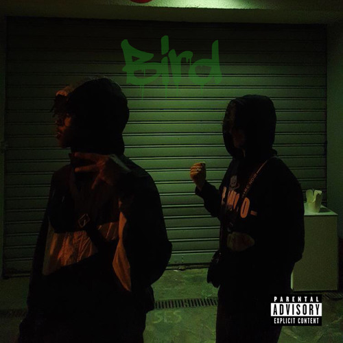 Stream Bird🦅 By Lil5 Listen Online For Free On Soundcloud