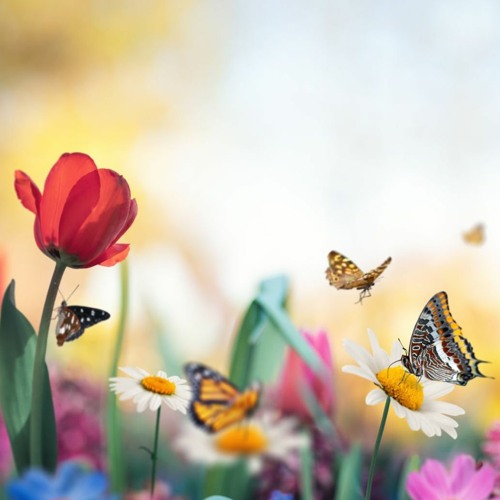 Stream Urban mix (Spring 2024) live by Dj ART_Tallinn | Listen online ...