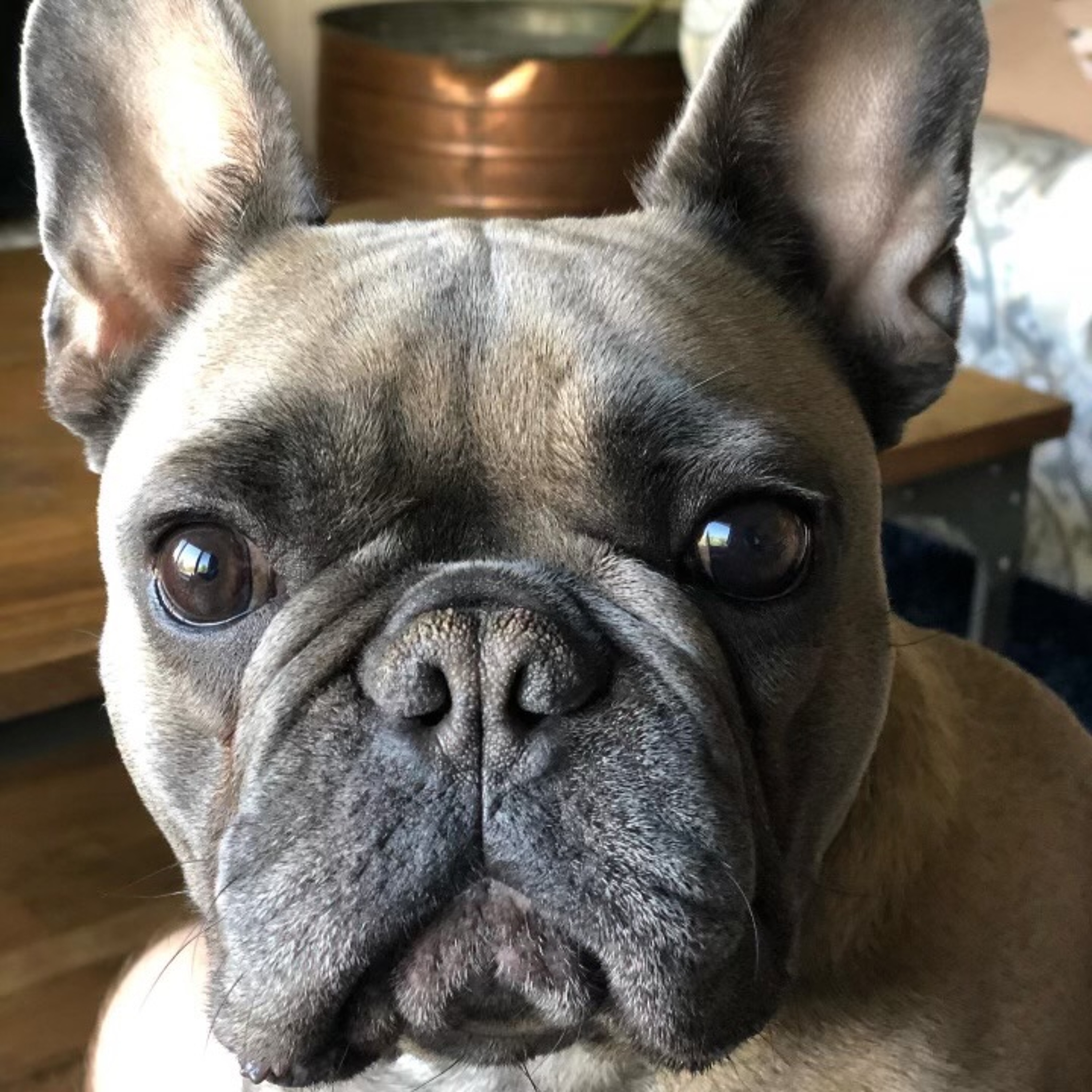 E410 - The Only Thing on Earth That Loves You More Than Itself, Your ...