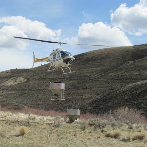 Stream Mark Freese And NDOW's Habitat Division by The Nevada Department ...