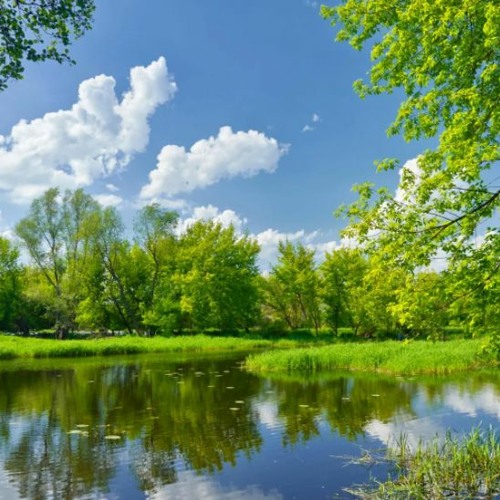 Stream Dmt Demons | Listen to নাইরে game background (FREE DOWNLOAD ...