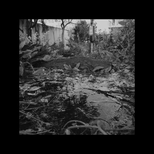 Stream Central Cee | Beató EDIT by Beató | Listen online for free on ...