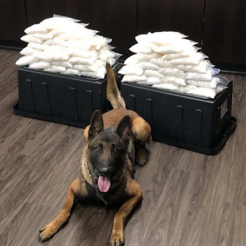 Stream motion prod bbuggin by bbuggin (@bbuggin2g) | Listen online for ...