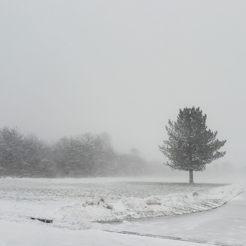 Stream Christmas in Buffalo 2022 - A Lonely Cold Disaster by Westward ...