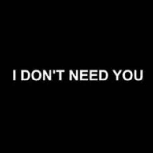 Stream Magnus Fischer ft Junior Paes - I Dont Need U - 2024 VERSION by ...