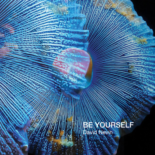 Stream 10. The Passing Of Time by David Nevin UK | Listen online for ...