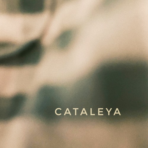 Stream Cataleya by Solmi Kim | Listen online for free on SoundCloud