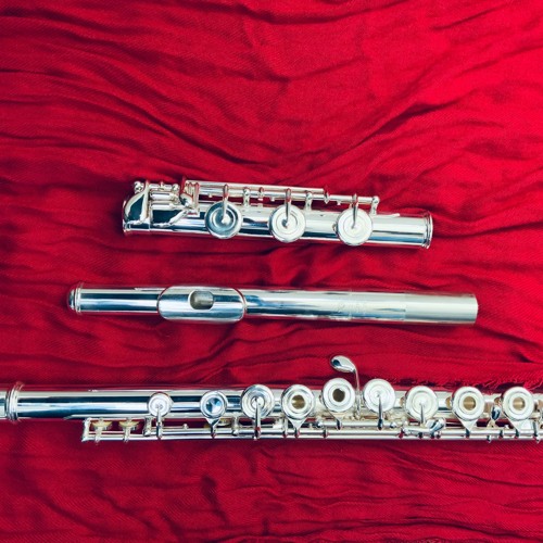 Stream J.S. Bach, Flute Sonata in B Minor(BWV 1030), Mov. I, Andante by ...