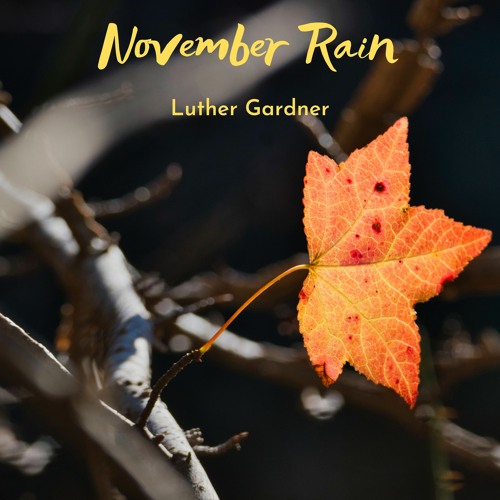 Stream November Rain by Luther Gardner | Listen online for free on ...