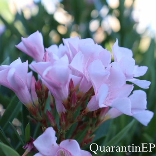 Stream Welcome by Nicholas Wainwright | Listen online for free on ...