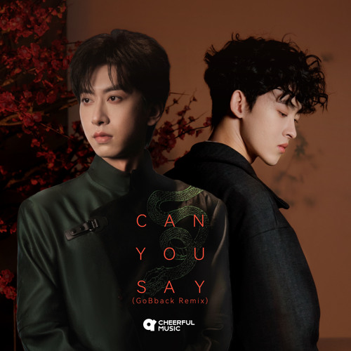 Stream Can you say (GoBback Remix) by Silk Ye | Listen online for free ...