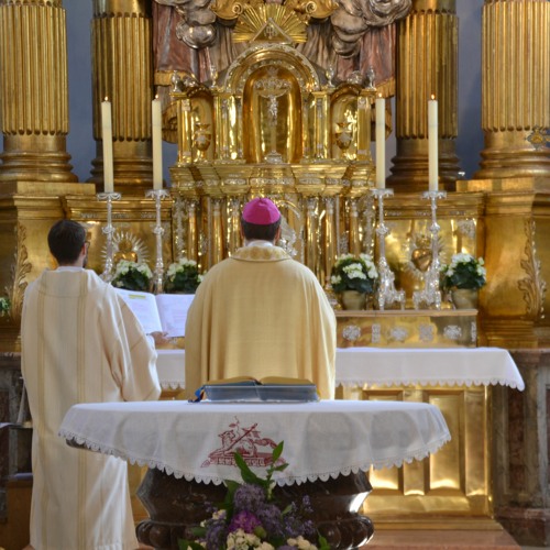 Stream Lebensziel Gott erkennen - Predigt von Bischof Oster zum ...