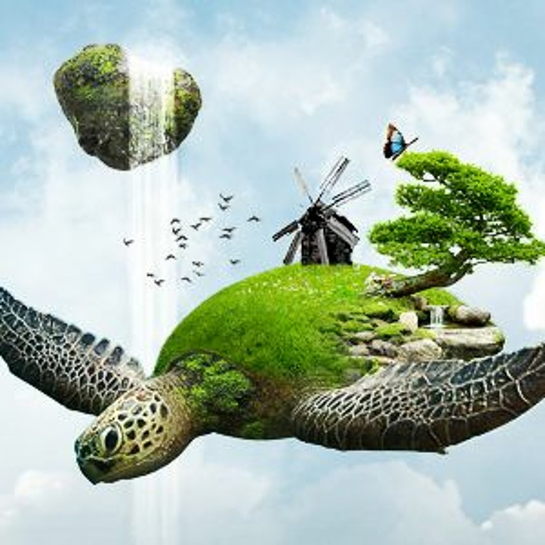 Stream FLYING TURTLE by Red＆Blue | Listen online for free on SoundCloud