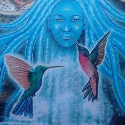 Stream colibri Dorado (cover Danit) by Mima mirimiri | Listen online ...