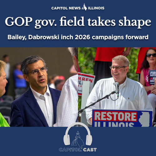 Stream GOP gov field takes shape by Capitol News Illinois | Listen ...