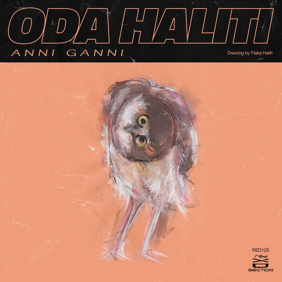 Stream Oda Haliti: Premiere - ANNI GANNI by ODA Haliti | Listen online ...