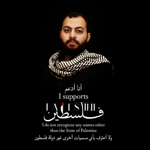 Stream Ahmad Alaa 95 | Listen to فلسطين 𓂆🇵🇸 playlist online for free on ...