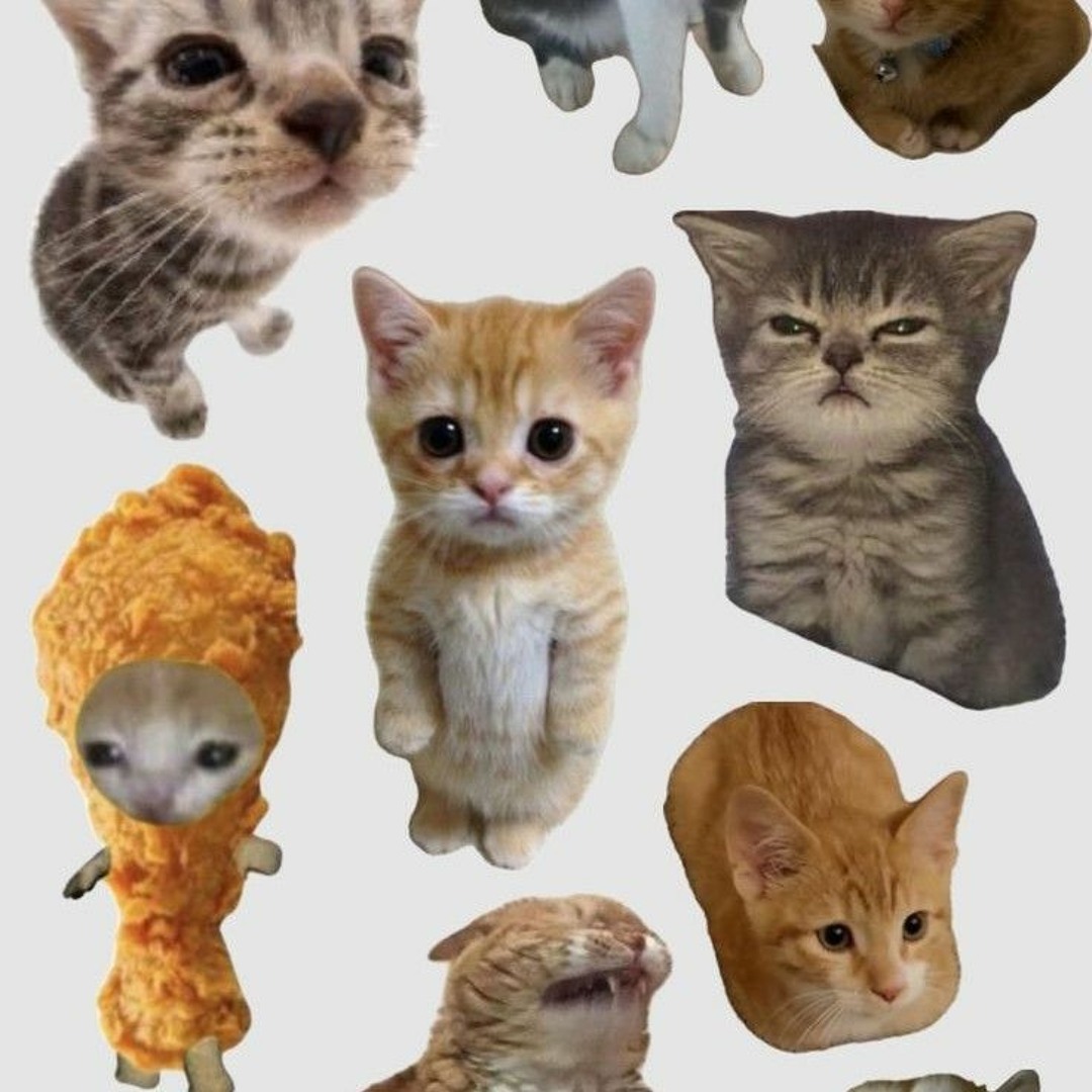 Stream Chloe.kappel | Listen to oiiaoiia playlist online for free on ...