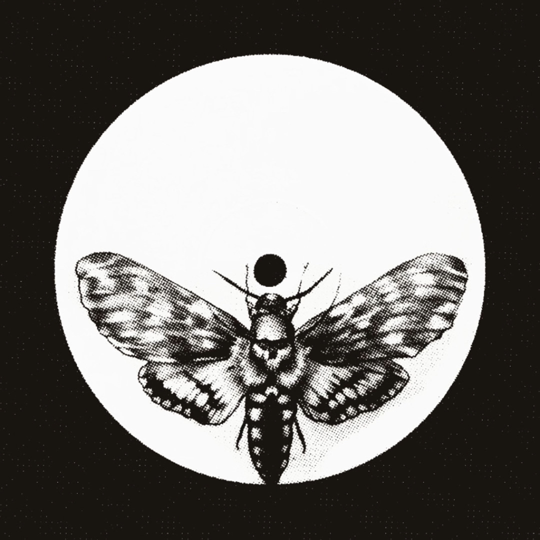 Stream WHATS THE RUSH by Cian Fox | Listen online for free on SoundCloud