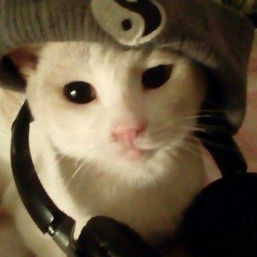 Stream muốn anh đau - winno ft. hustlang robber by ! | Listen online ...