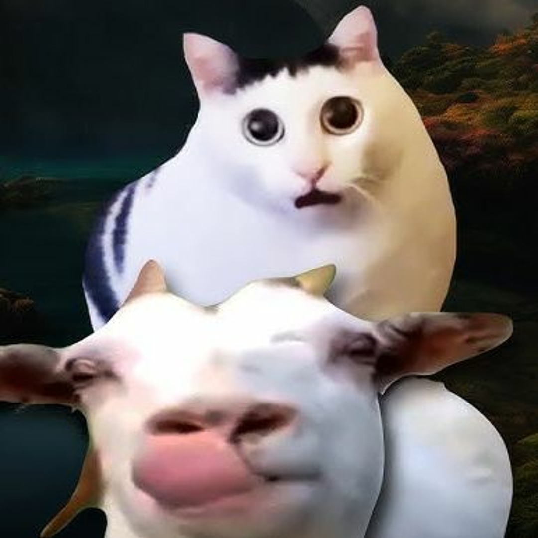 Stream Goat talking to clueless cat meme by KOLAX _ | Listen online for ...