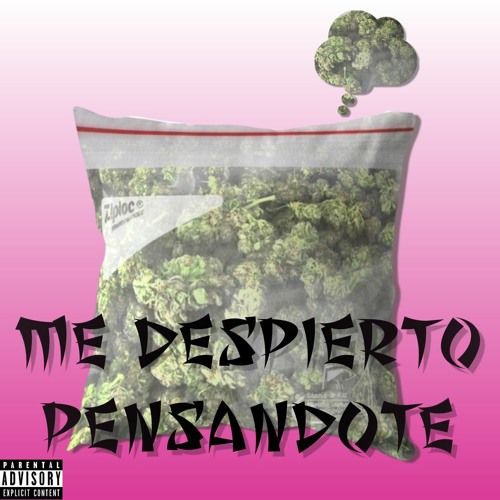 Me Despierto