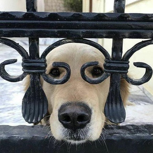 Stream GRiZ feat. Subtronics - Griztronics (SVDDEN DEATH Edit) by ...