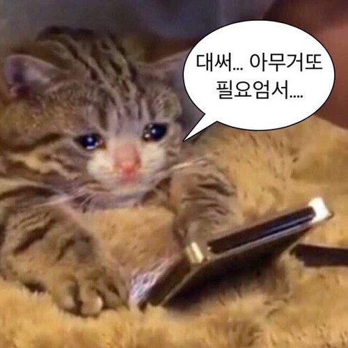 Stream 착각은 마 딱히 널 좋아한 적 없으니까 by Sandy Kwon 꿩유갱 | Listen online for free ...