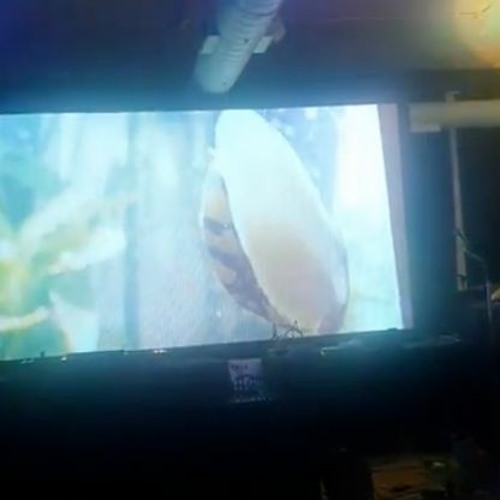 Stream Sarah Allen Reed - datafruits world expo 2023 by datafruits ...