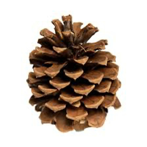 Stream Don't Wanna Love - The Boojums by smeefOS #STAYBROKE‼️🥛 | Listen ...