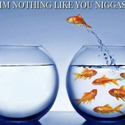 Stream im Nothing Like You Niggas [SOUNDCLOUD EXCLUSIVE] by Really ...