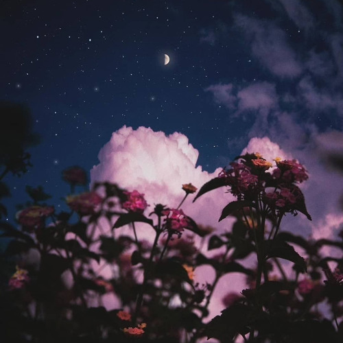 Stream Jhumka Mashuq Haque Lofi remix by Shayan Khan | Listen online ...
