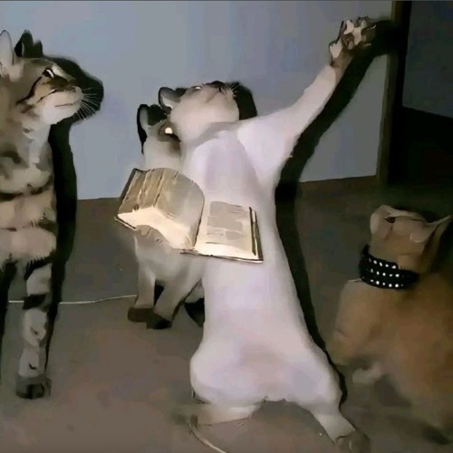 Stream Young nudy - One Dolla (Instrumental slowed) by レーン 556 | Listen ...