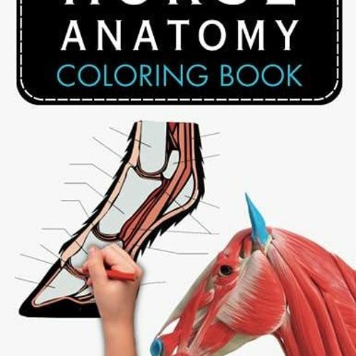 Stream episode Download Book [PDF] Horse Anatomy Coloring Book Horse ...