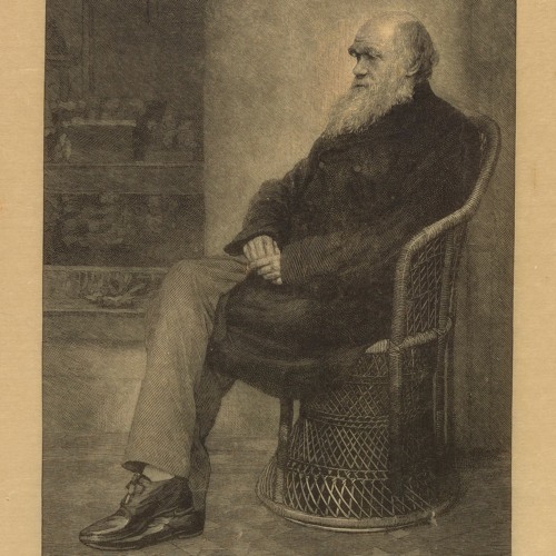Stream episode Was Darwin a Murderer? by Science History Institute ...