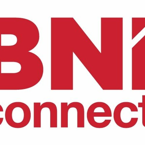 Bank Bni Logo