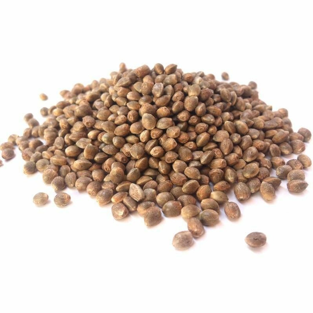 Stream Disgust - Dutty Babylon by Slinks - Amen4Tekno Records | Listen ...