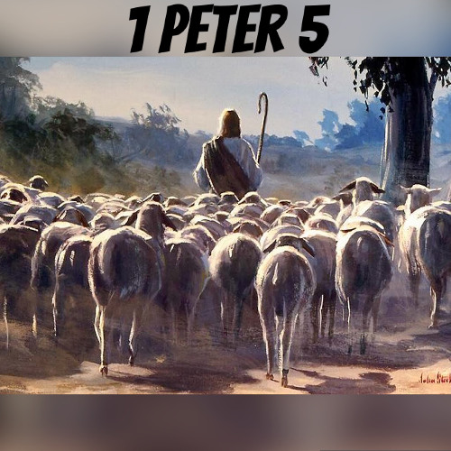 Stream 1 Peter 5 - Shepherd the Flock by COGA Knows His Word Daily ...