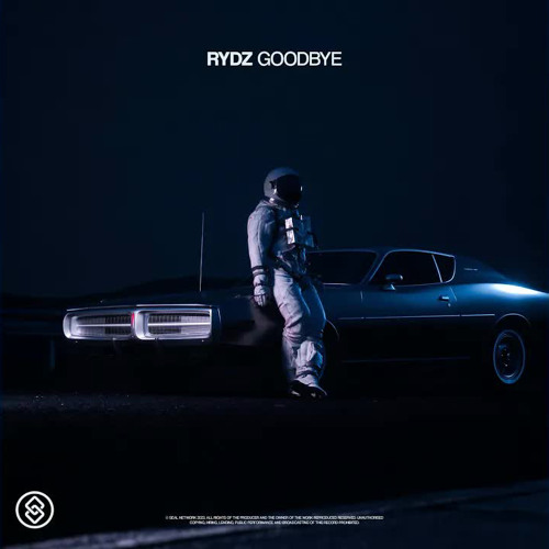 Stream Rydz - Goodbye by Seal Network | Listen online for free on ...