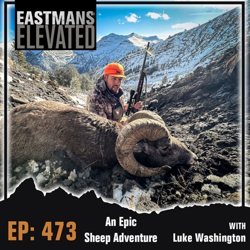 Stream episode Episode 473: An Epic Sheep Adventure With Luke ...