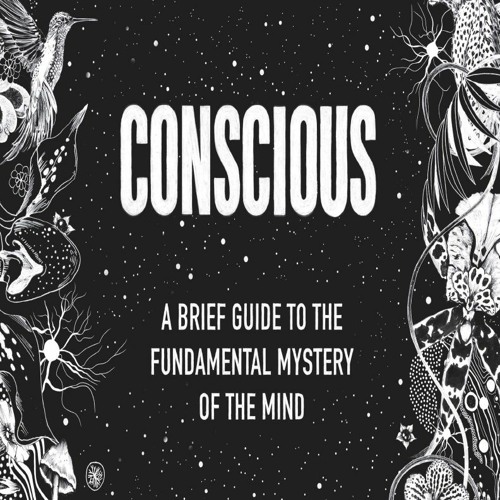 Stream [DOWNLOAD]⚡PDF Conscious: A Brief Guide to the Fundamental ...