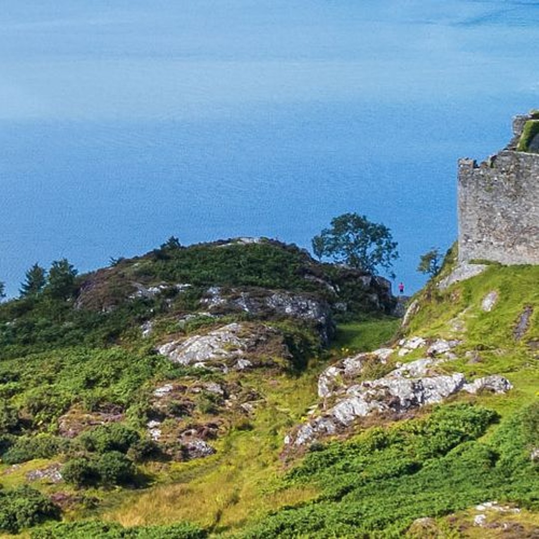 Stream Holly | Listen to ICONIC ANIMATION MEME SONGS playlist online ...