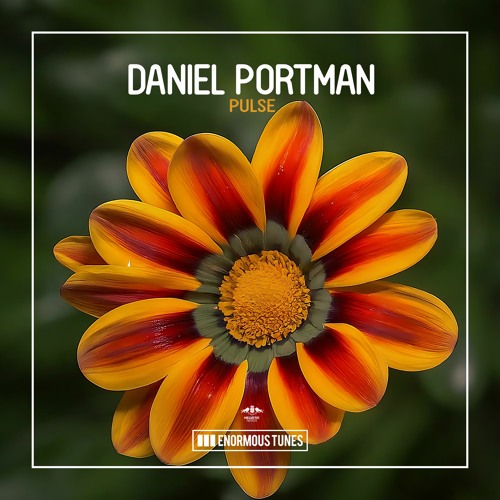 Stream Daniel Portman - Pulse (Extended Mix) by Daniel Portman | Listen ...