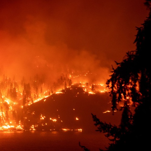 Stream Forest Fire (Prod.CYRUSXO) by jxpxn-xrch!v3 | Listen online for ...